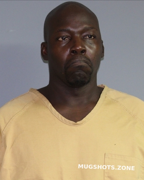 SCHULTZ ROLAND HAYES III 08/17/2024 - Palo Pinto County Mugshots Zone