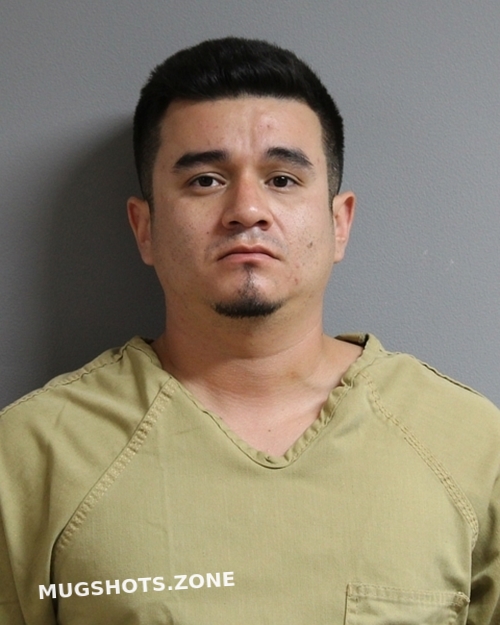 MERCADO NICHOLAS ENRIQUE 10/08/2024 - Palo Pinto County Mugshots Zone