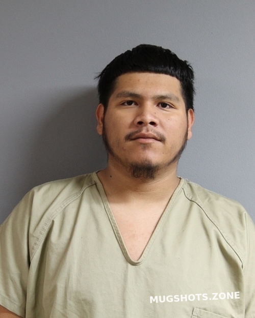 RIOS LEONEL 10/16/2024 - Palo Pinto County Mugshots Zone