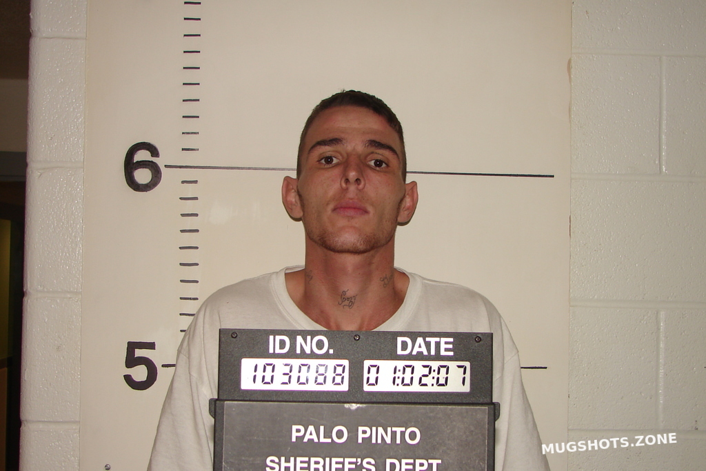 BROCK CORY BRANDON 11/01/2024 - Palo Pinto County Mugshots Zone