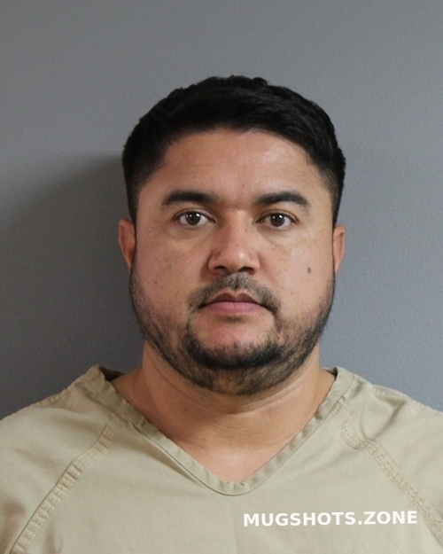 RODRIGUEZ EDGAR RODRIGUEZ 11/14/2024 - Palo Pinto County Mugshots Zone