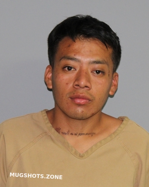 MORALES-FERNANDEZ KEVIN B 12/15/2024 - Palo Pinto County Mugshots Zone