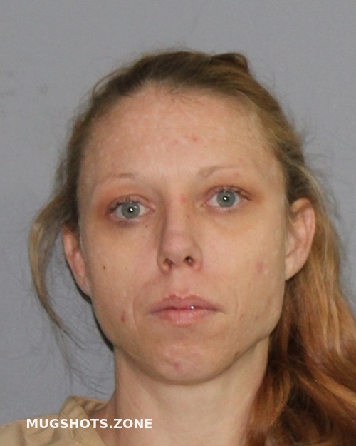 ETHRIDGE SHELLY RENEA 01/13/2025 - Palo Pinto County Mugshots Zone