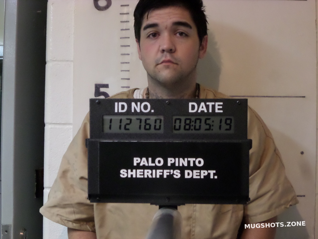 HOPKINS DEVIN JAMES 02/14/2025 - Palo Pinto County Mugshots Zone