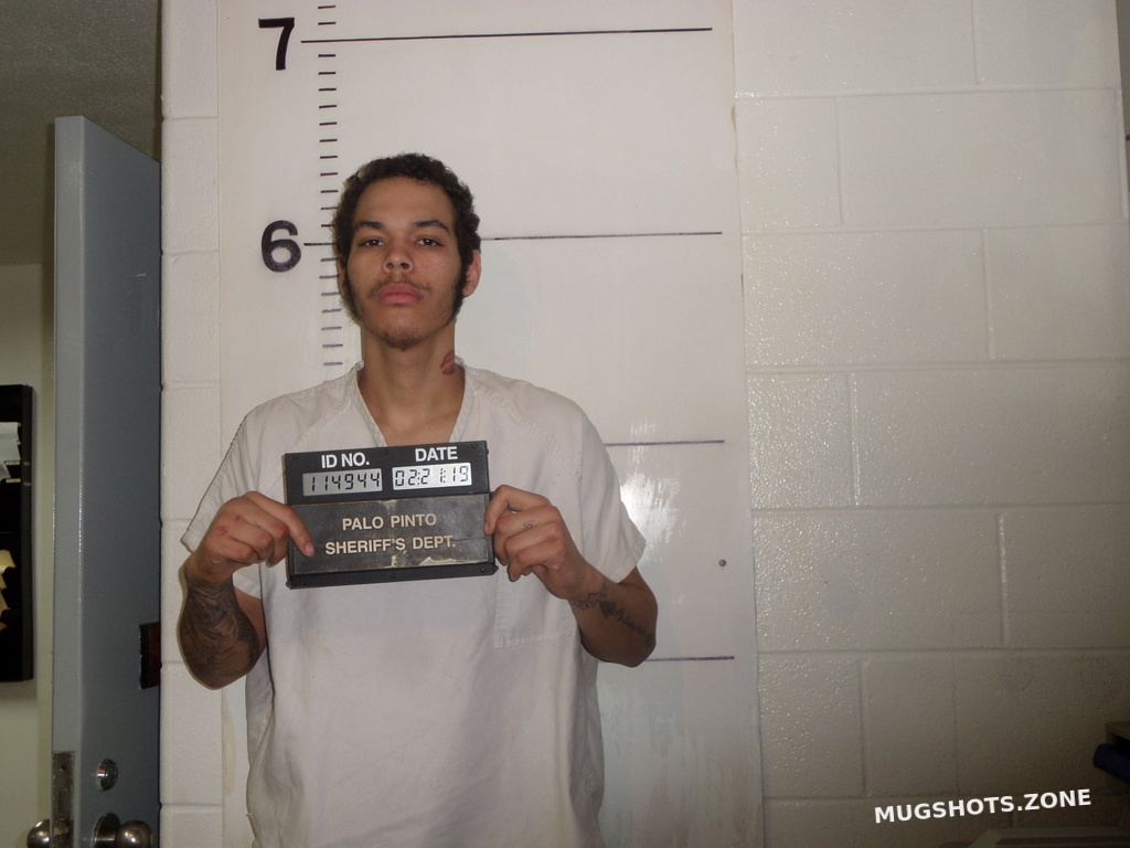 HAWKINS SHELDON EDWIN JR 02/20/2025 - Palo Pinto County Mugshots Zone