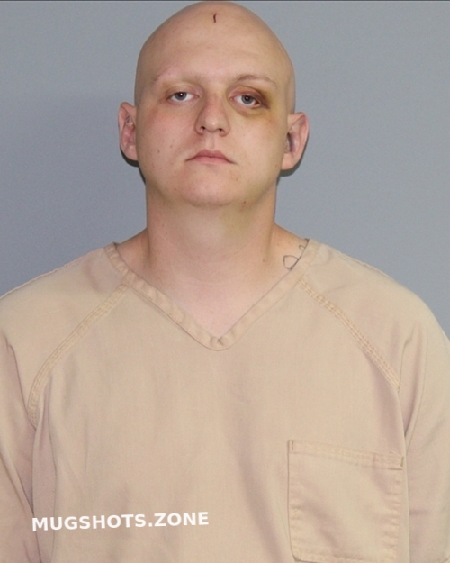 HEDDINS JARRETT SHANE 02/22/2025 - Palo Pinto County Mugshots Zone