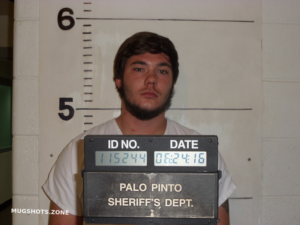 HARDEE JOSHUA MICHAEL 03/01/2025 - Palo Pinto County Mugshots Zone