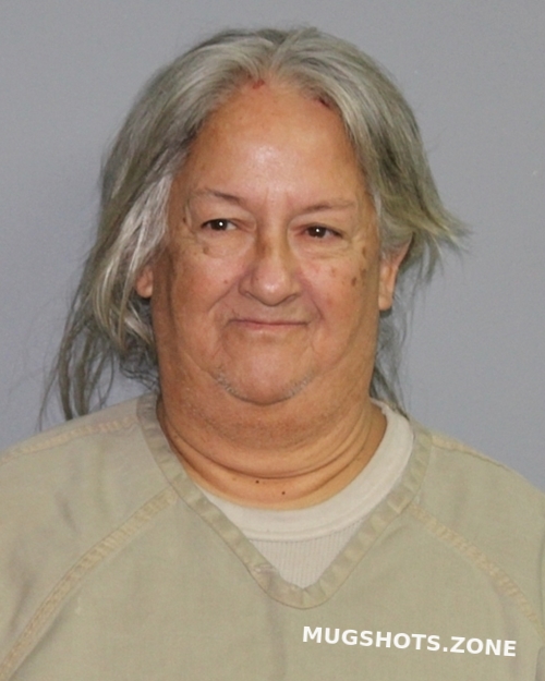 WRIGHT DEBRA MARIE 03/22/2025 - Palo Pinto County Mugshots Zone