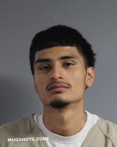 RIVAS ALFREDO 06/22/2025 - Palo Pinto County Mugshots Zone