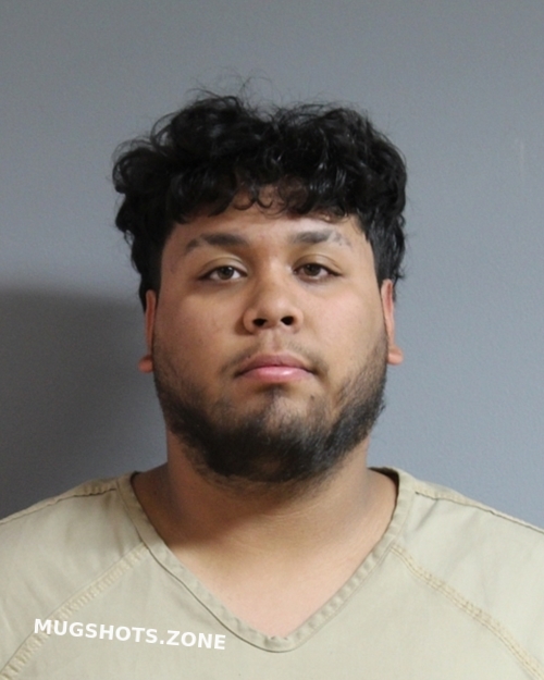 LEVARIO JOSE MANUEL JR 06/23/2025 - Palo Pinto County Mugshots Zone