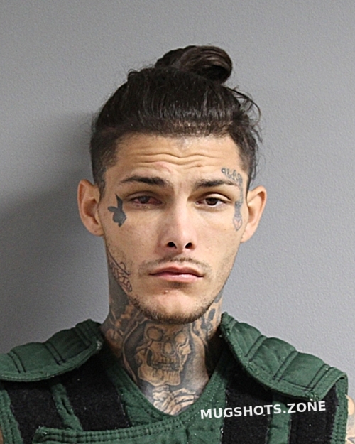 PEREZ JENSEN 01/17/2026 - Palo Pinto County Mugshots Zone