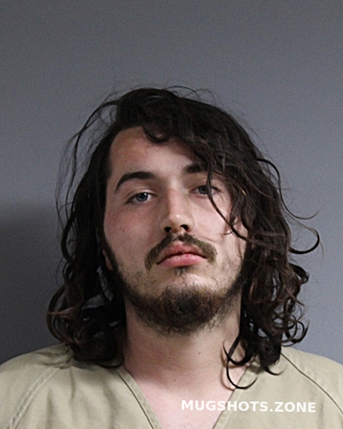 DRAKE MICHAEL AUSTIN 02/01/2026 - Palo Pinto County Mugshots Zone