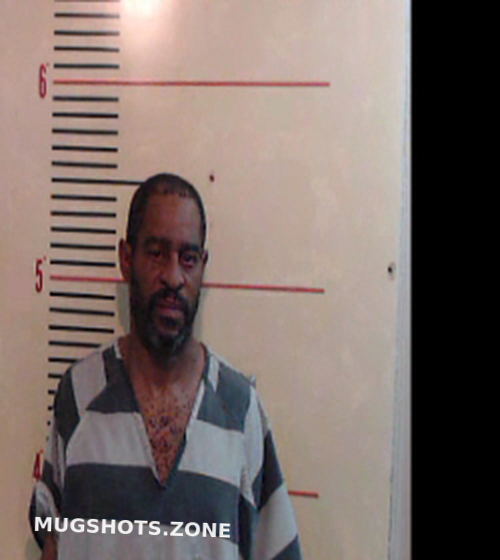 SNEED JAMES GERHARD 02/20/2021 - Parker County Mugshots Zone
