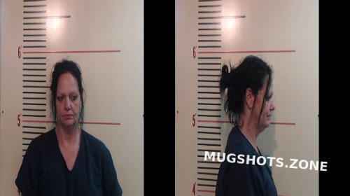 GANNON DEBORAH DENISE 06/14/2021 - Parker County Mugshots Zone
