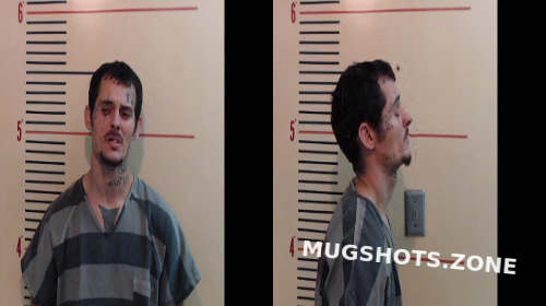 TEAGUE SHAN MICHAEL 12/17/2021 - Parker County Mugshots Zone