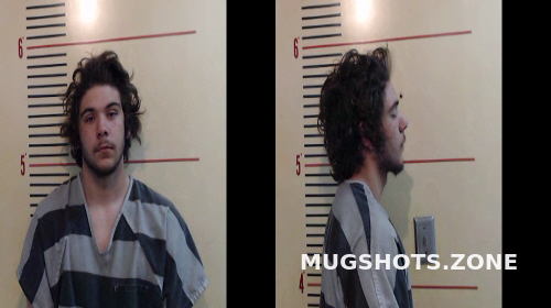 AULDRIDGE BENJAMIN NATHANIEL 03/01/2022 - Parker County Mugshots Zone