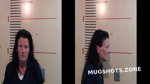 MATNEY MEGAN ANN 05/01/2022 - Parker County Mugshots Zone