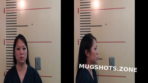 SHIUE KAREN TING-FUN 06/07/2022 - Parker County Mugshots Zone
