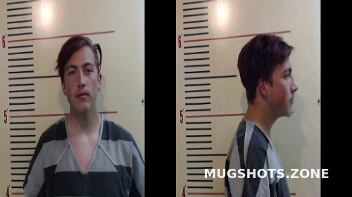 HARBIN NICHOLAS GLENN 06/12/2022 - Parker County Mugshots Zone
