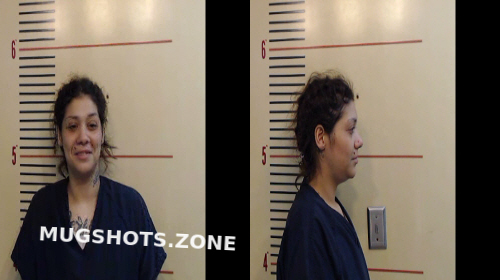 BUSTOS DIANA AMANDA 08/05/2022 - Parker County Mugshots Zone