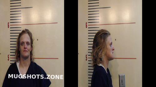 WILLIAMS DESARAY MICHELLE 08/09/2022 - Parker County Mugshots Zone