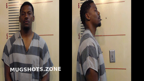 FLEMING BRIAN LAMAR 08/13/2022 - Parker County Mugshots Zone