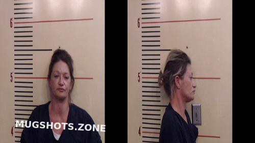 MCGRAW WHITNEY NICOLE 11/04/2022 - Parker County Mugshots Zone