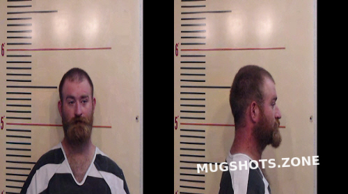 CARLOCK DAMYON CHARLES 11/08/2022 - Parker County Mugshots Zone