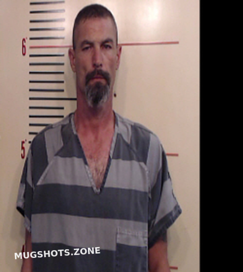 MEESE STEVEN LEE 11/13/2022 - Parker County Mugshots Zone