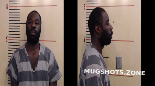 ROSS ALBERT LYNN 11/16/2022 - Parker County Mugshots Zone