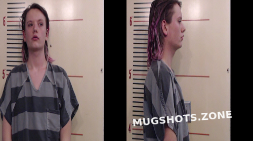 WILLIAMS SETH ADDISON 12/01/2022 - Parker County Mugshots Zone