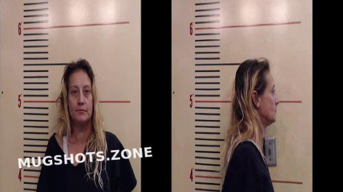 NOURSE ANGEL DAWN 12/21/2022 - Parker County Mugshots Zone