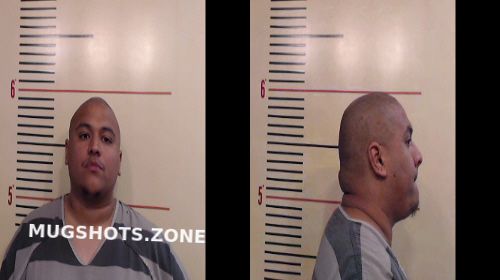 DE LOS SANTOS DANIEL ROBERT 01/13/2023 - Parker County Mugshots Zone