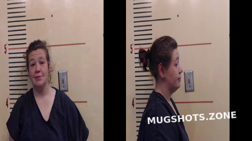 CRUZ SISK CHEYENNE LAKOTA 04/11/2023 - Parker County Mugshots Zone