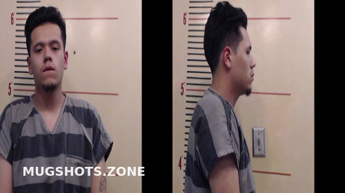 RAMIREZ BRIAN DANIEL JR. 04/20/2023 - Parker County Mugshots Zone