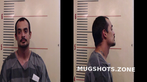 HOWARD AARON BLAKE 05/17/2023 - Parker County Mugshots Zone