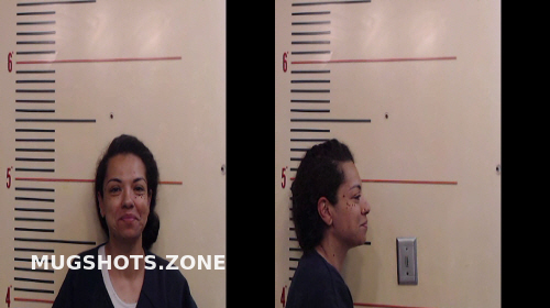 ROBLES SALLY 05/25/2023 - Parker County Mugshots Zone