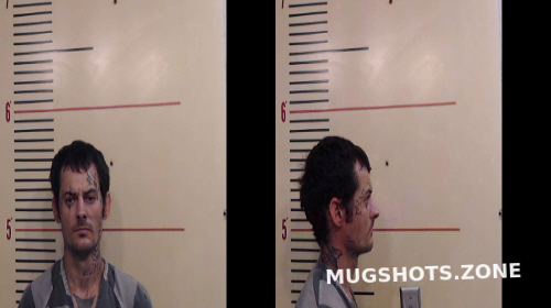 TEAGUE SHAN MICHAEL 06/23/2023 - Parker County Mugshots Zone