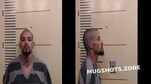 RIOJAS AARON REUBEN 07/31/2023 - Parker County Mugshots Zone