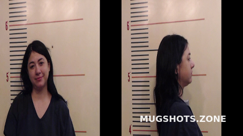 CHINN SHANNON NICOLE 08/10/2023 - Parker County Mugshots Zone