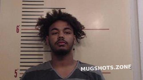TELLFAIR ELIJAH LUTRELL 10/10/2023 - Parker County Mugshots Zone