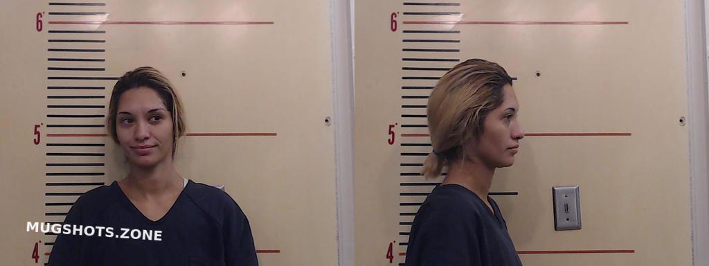 RENDON CECELI YVETTE 10/22/2023 - Parker County Mugshots Zone