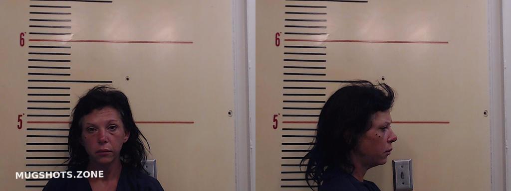 LANDRETH AMY 11/18/2023 - Parker County Mugshots Zone