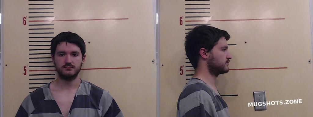 CASWELL GABRIEL SKYLER 11/18/2023 - Parker County Mugshots Zone