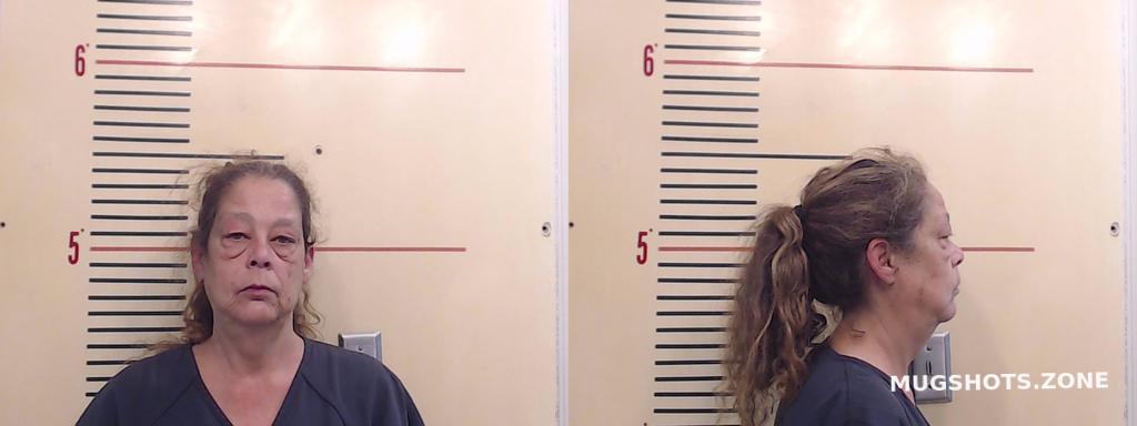 JOHNSON AIMEE RENEE 12/23/2023 - Parker County Mugshots Zone