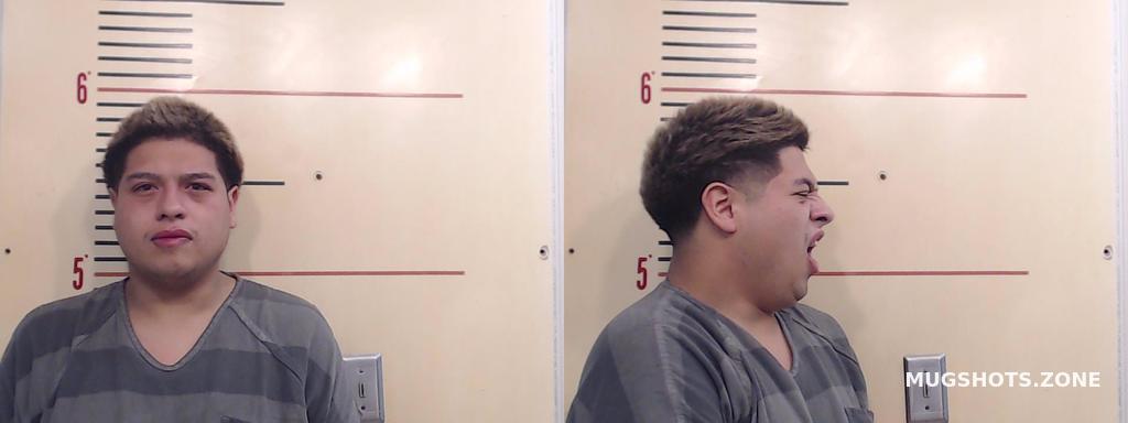 FERRAZAS MICHAEL MARTIN 12/29/2023 - Parker County Mugshots Zone