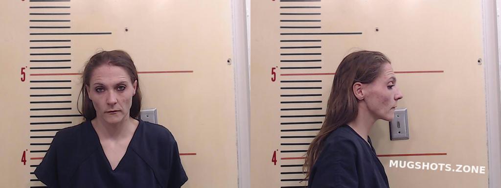 CASTILLO ASHLEE KAYLEEN 01/16/2024 - Parker County Mugshots Zone