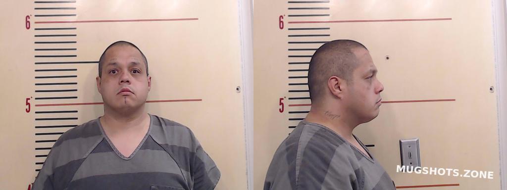 DELAROSA BRYAN LEE 01/17/2024 - Parker County Mugshots Zone