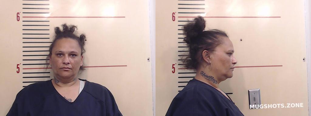 RISNER CASSEY RENEE 01/27/2024 - Parker County Mugshots Zone