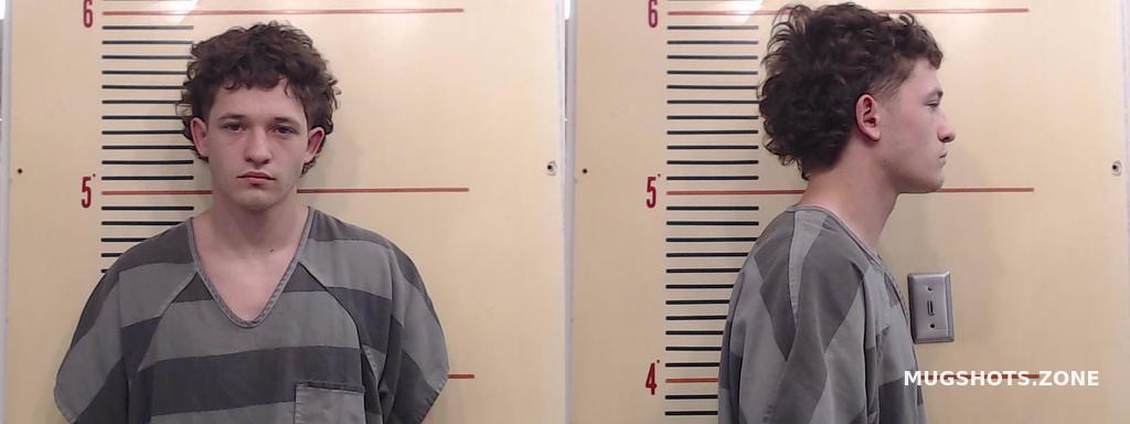 TIMMS BRITTAN LANDYN 02/01/2024 - Parker County Mugshots Zone